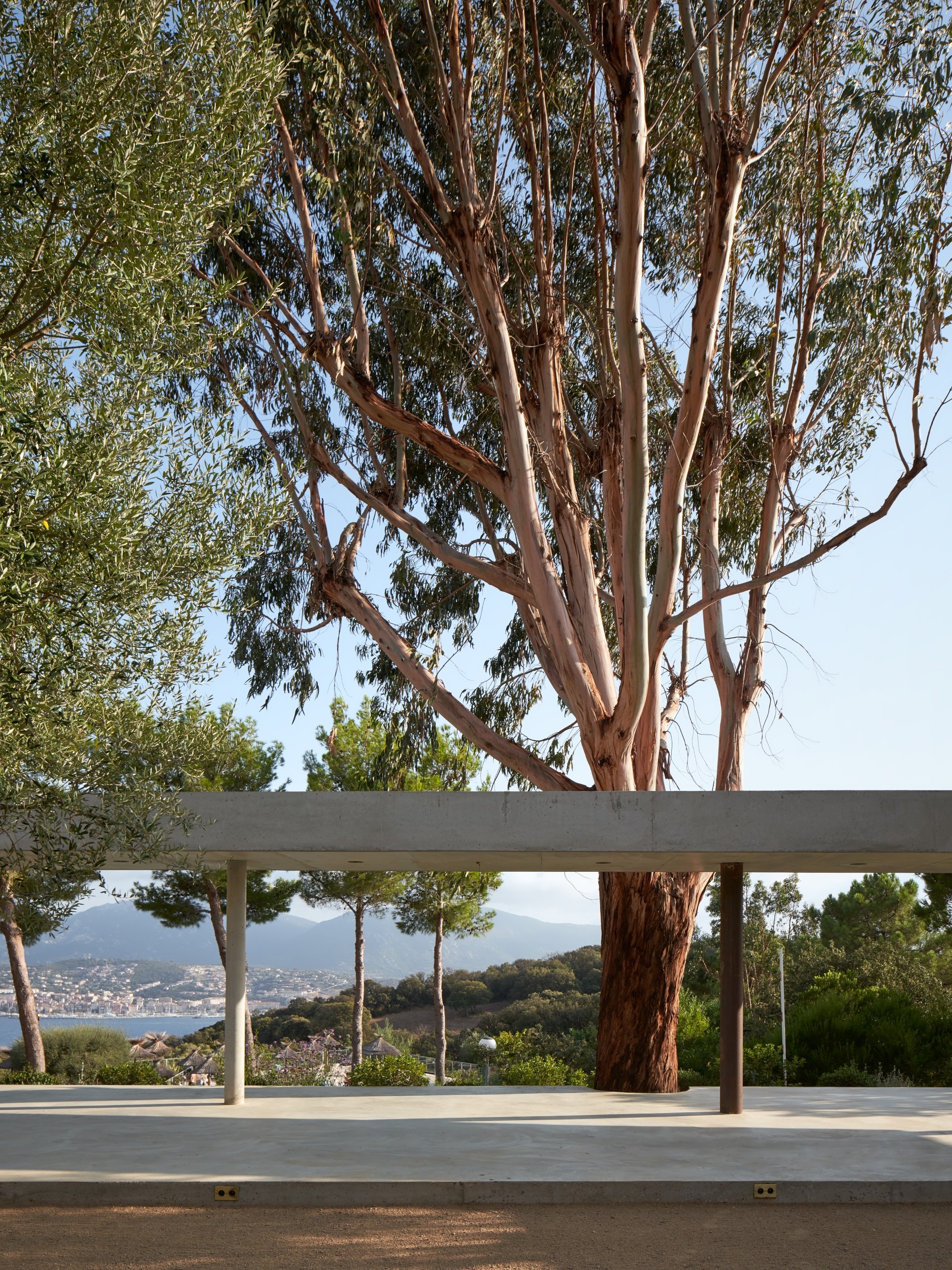 Orma Architettura | Vigna Maggiore